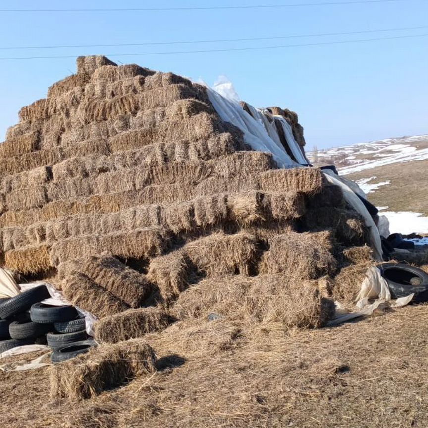 Сено разнотравье в тюках