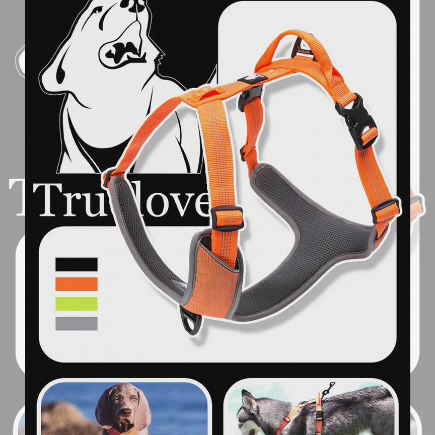Шлейка для собак Truelove
