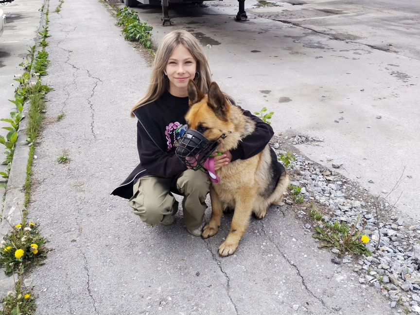 Продажа собак щенков