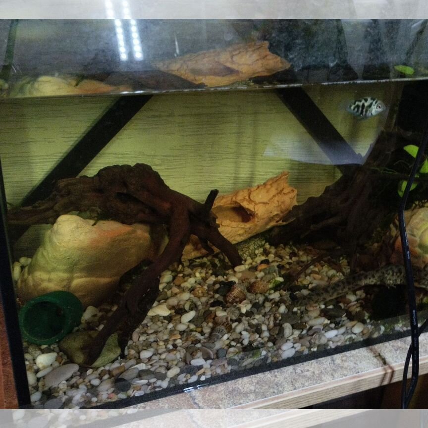 Аквариум 30 литров