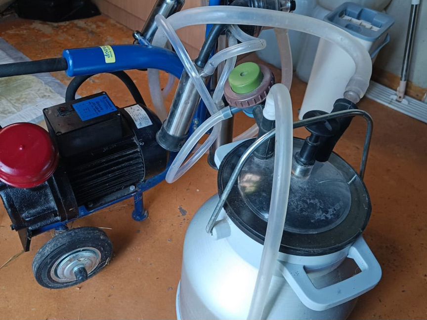 Доительный аппарат