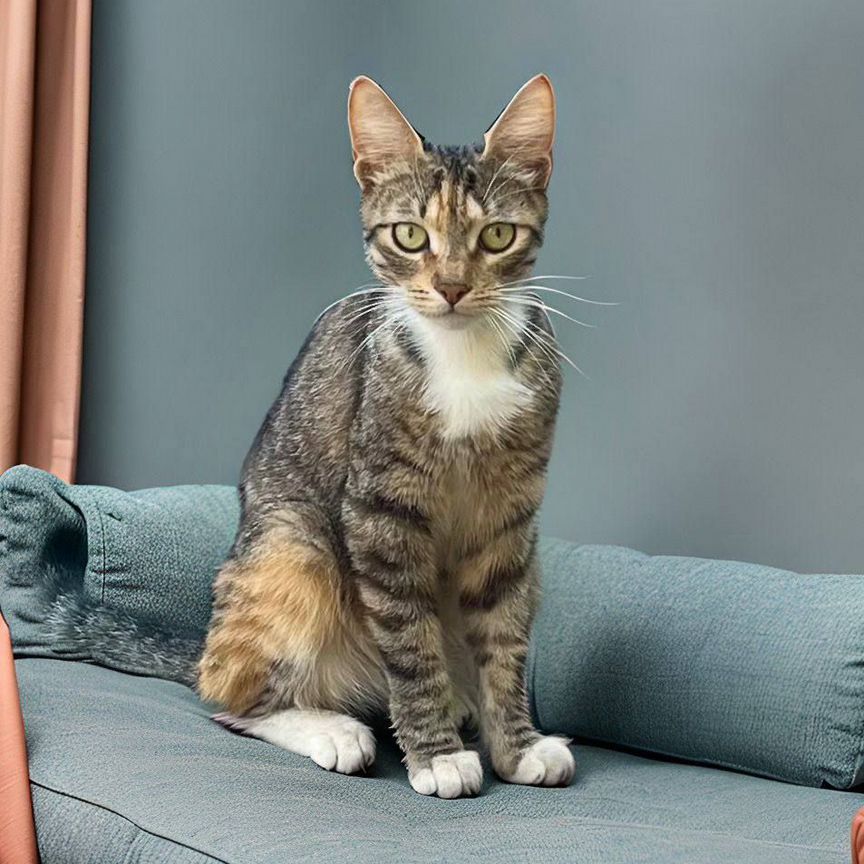 Девочка 10 мес