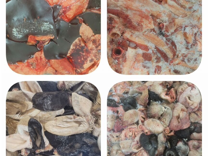Мясо баранина для собак и кошек. Субпродукты