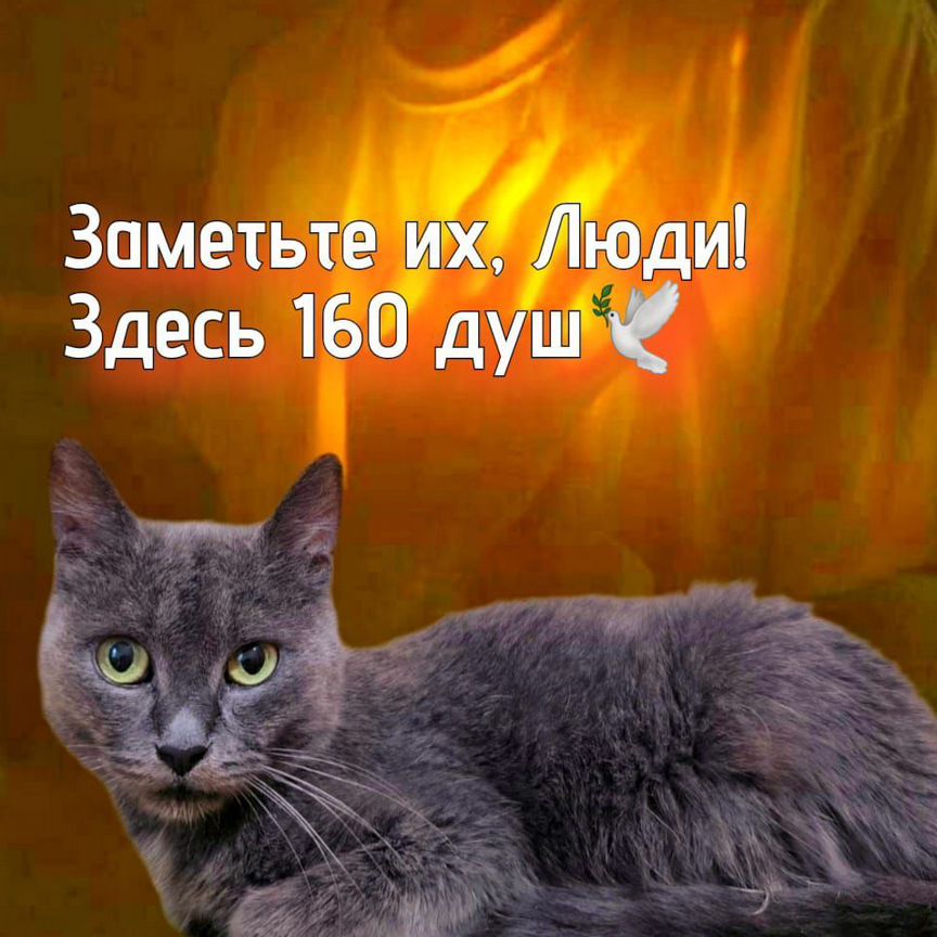 К Людям