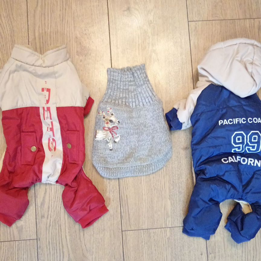 Одежда для маленьких собак