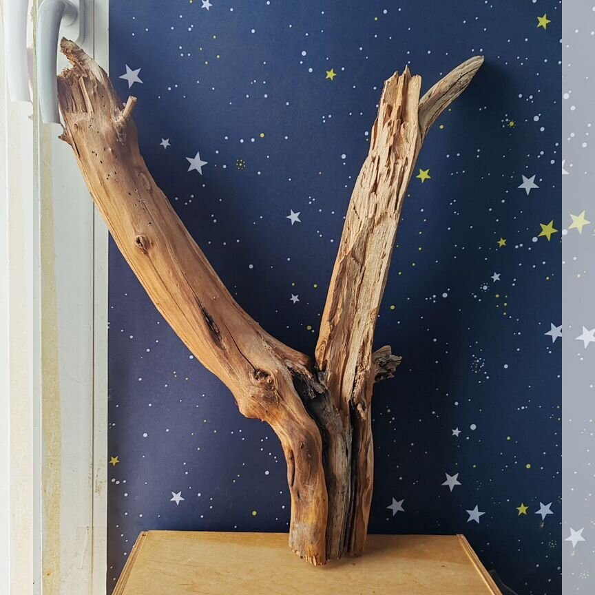 Коряга для декора