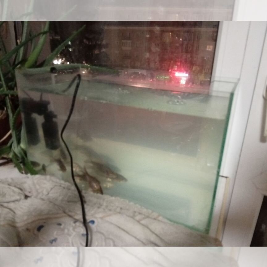 Аквариум 31литр протечек нет, фильтр на 10-100 л