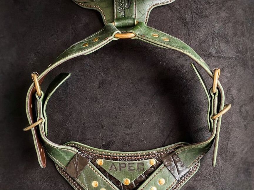 Шлейка для собаки