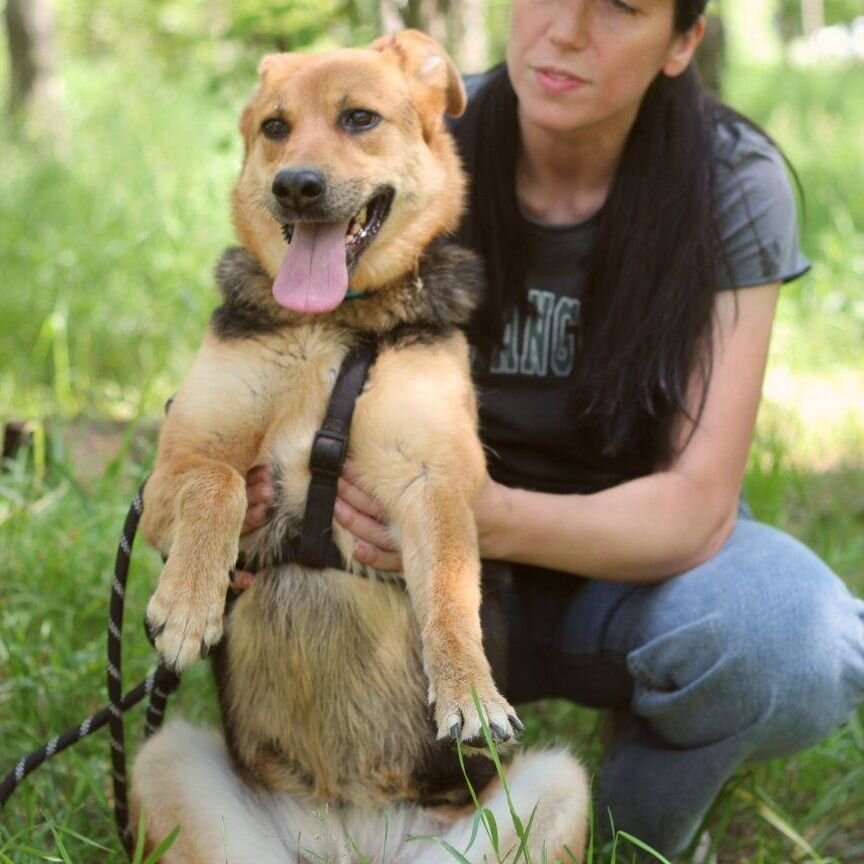 Ласковая Кира из приюта высматривает родителей