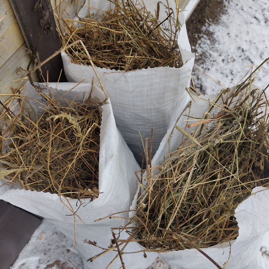 Сено в мешках