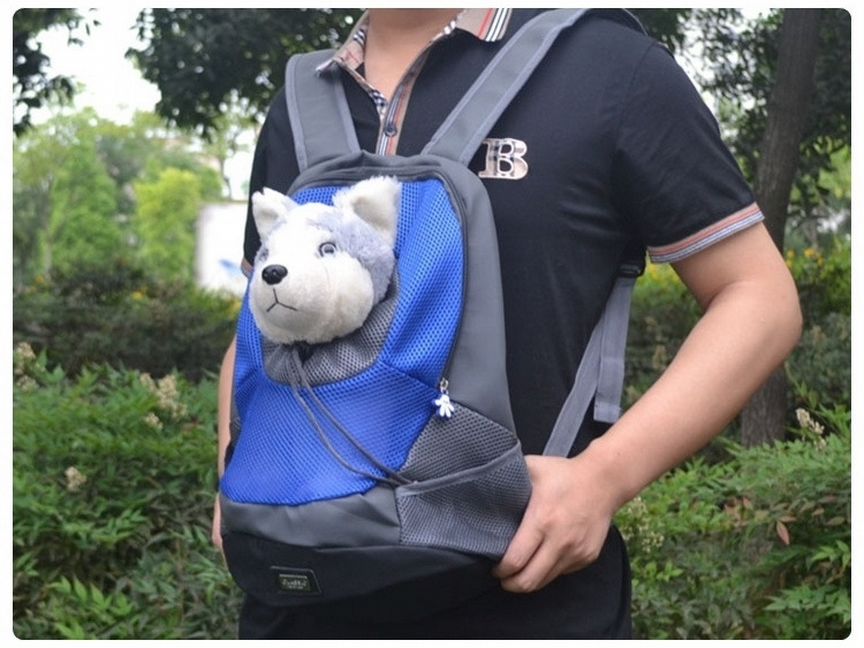 Переноска-рюкзак "Crazy Paws" для собак и кошек