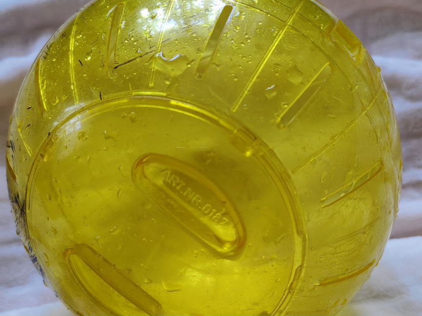 Шар для хомяка 20 см