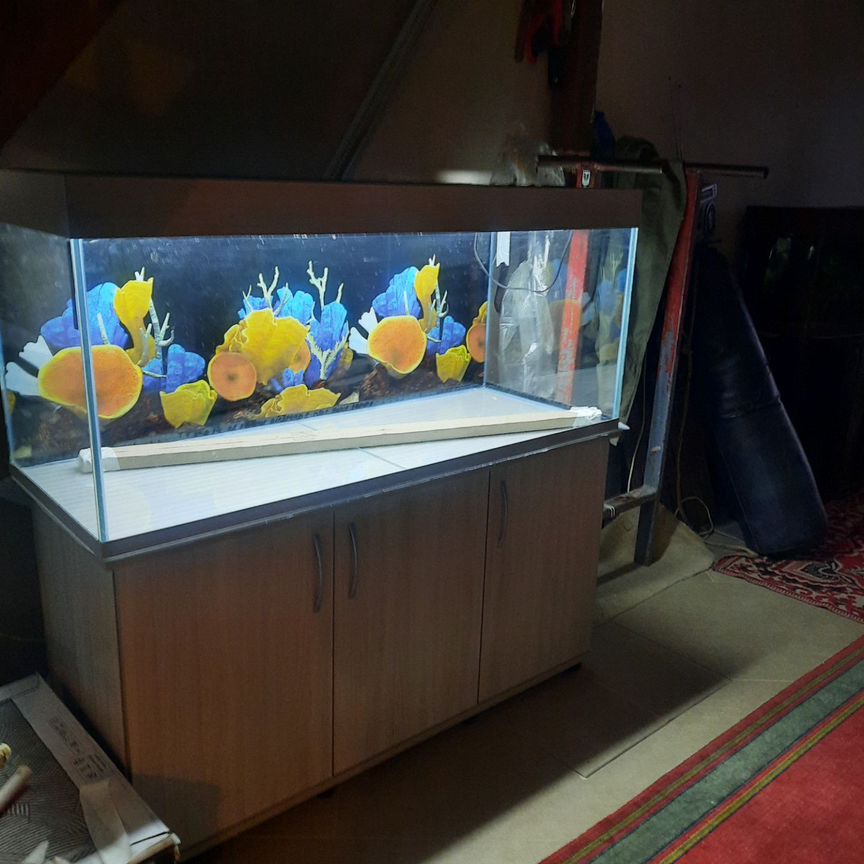 Аквариумистика