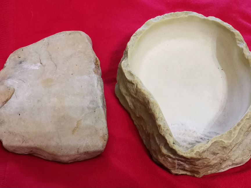 Поилка /кормушка для рептилий и камень