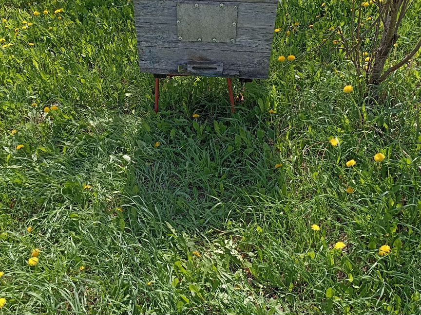 Улей для пчел бу