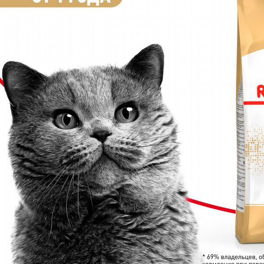 Сухой корм для кошек Royal Canin Adult для британс
