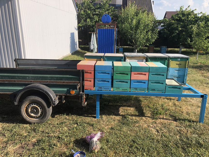 Платформа для ульев