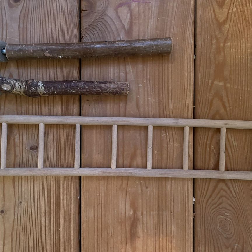 Лесенка и жердочки для попугая деревянные