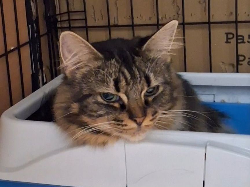 Никто не любит