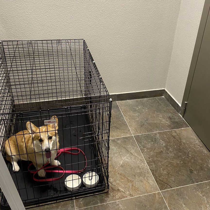 Клетка для собак