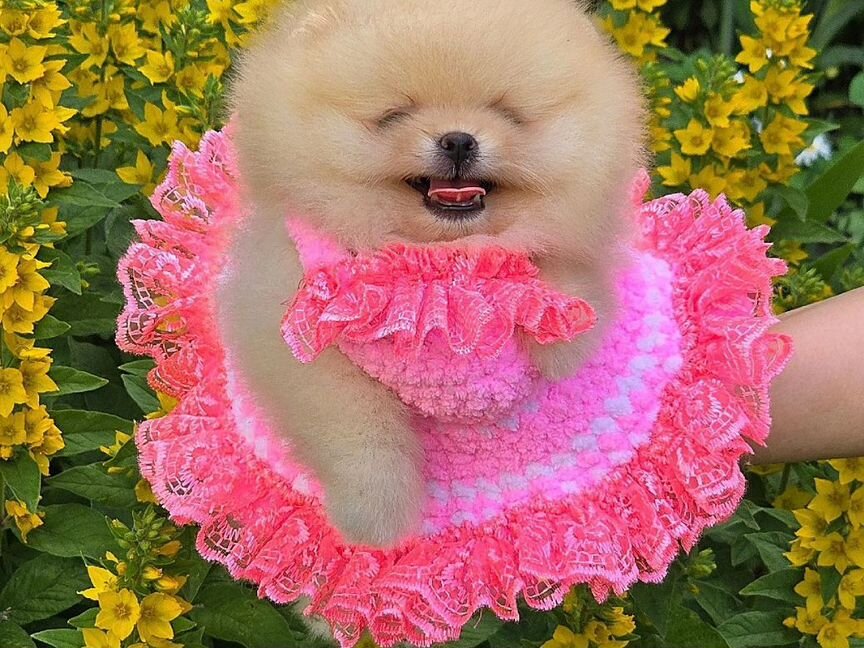 Нереальные Красотки