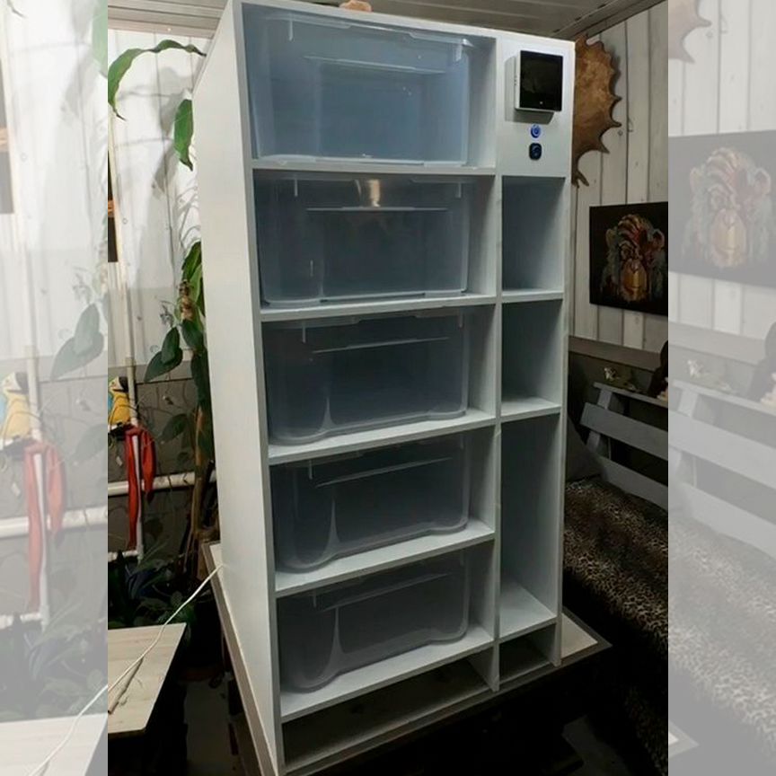 Террариум для рептилий на заказ