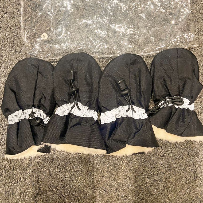 Тапочки, обувь для собаки