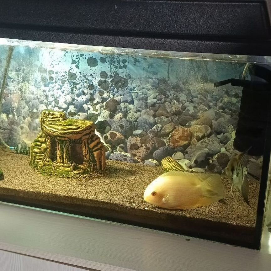 Аквариум с тумбой 85 литров