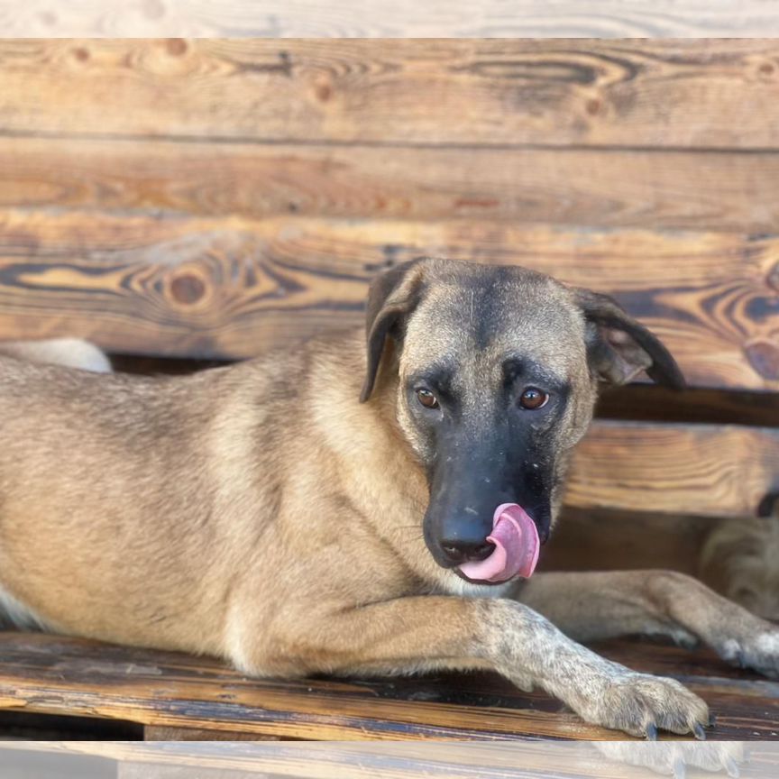 Девочка 1 год