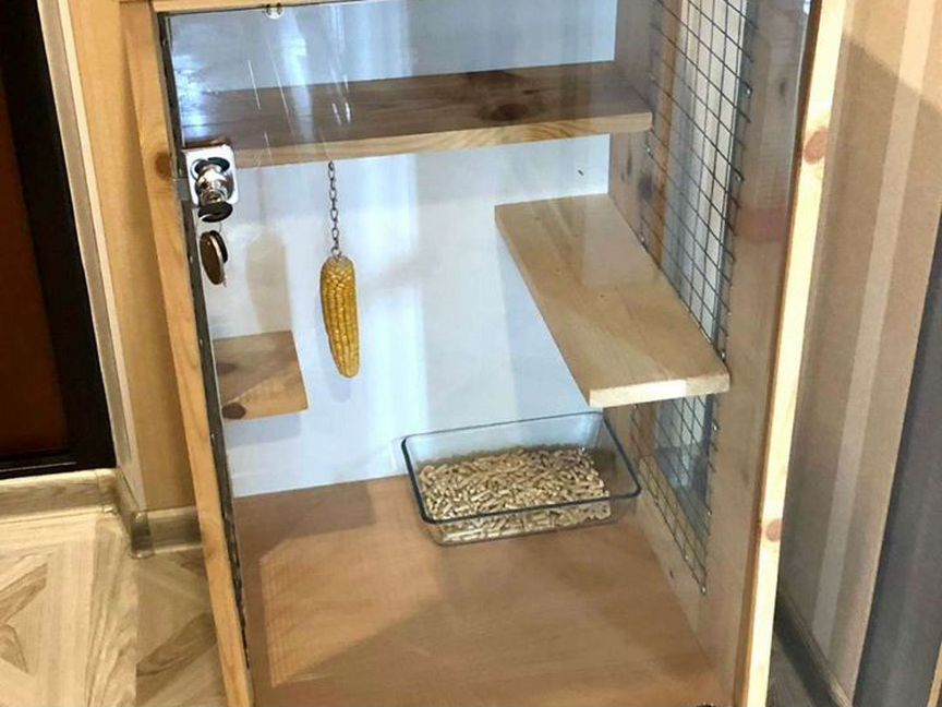 Витрина для шиншилл