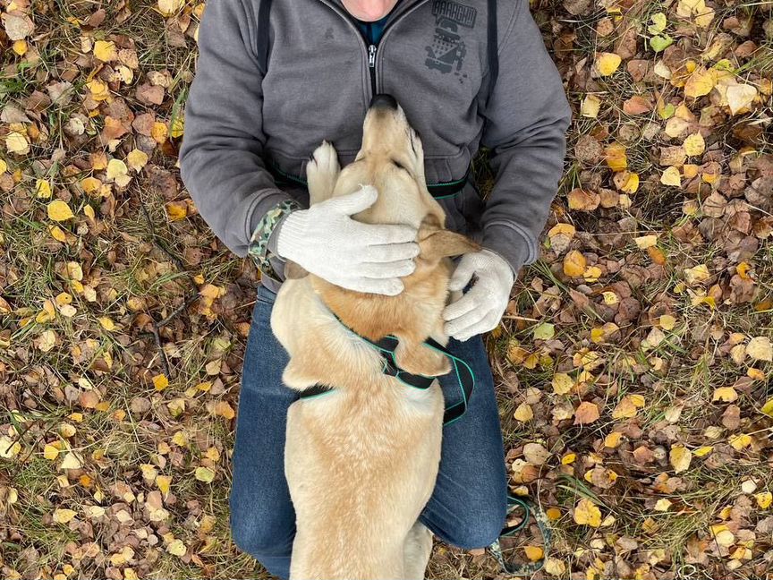 Белоснежка в семью
