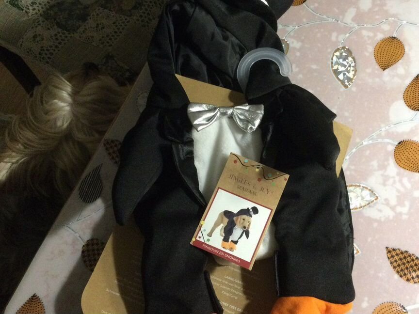 Смокинг для собаки (комбинезон, костюм)