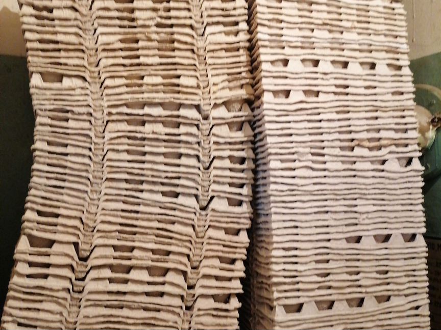 Яичные соты, лотки