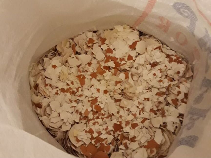Яичная скорлупа