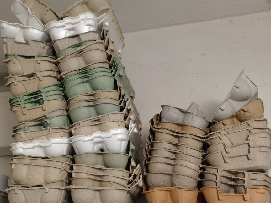 Яичные лотки