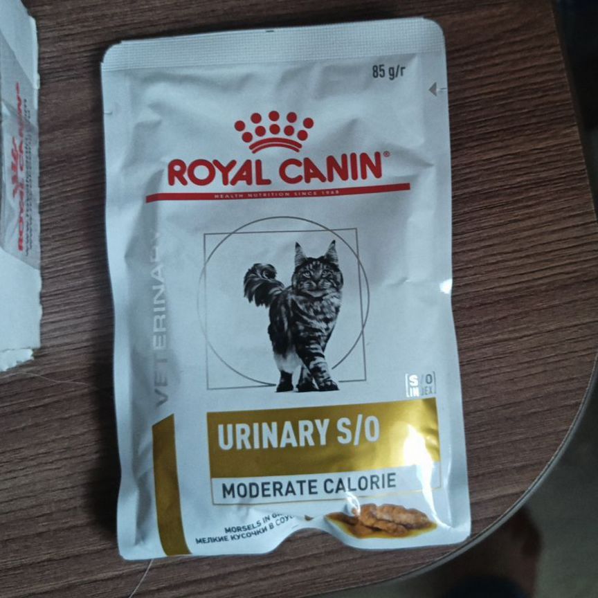 Влажный корм для кошек royal canin