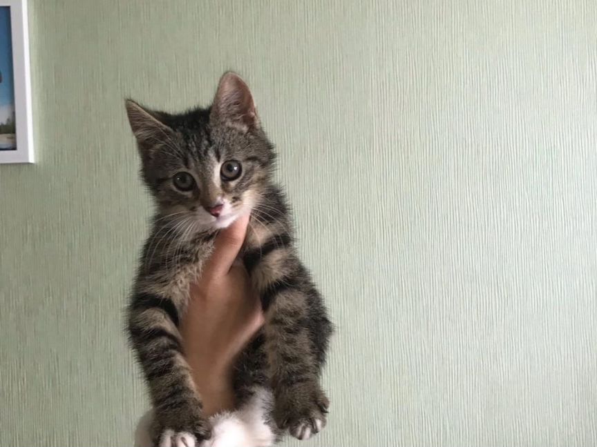 Малышарик в добрые ручки