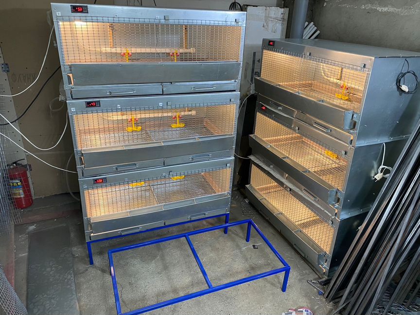 Брудера для цыплят