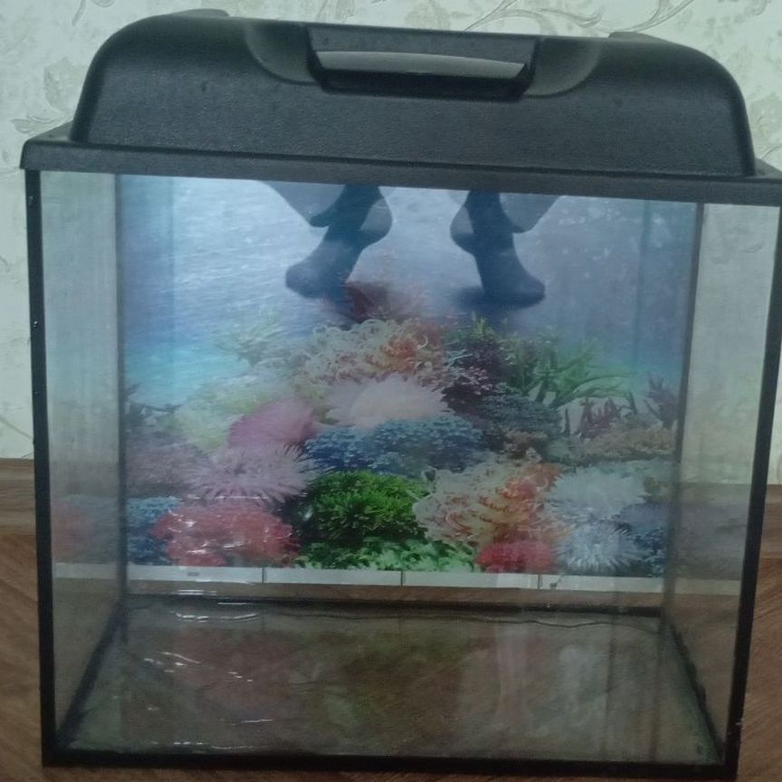 Аквариум