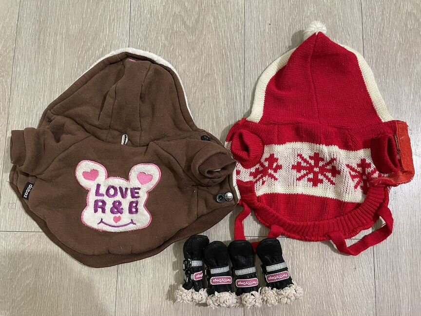 Одежда и обувь для собак