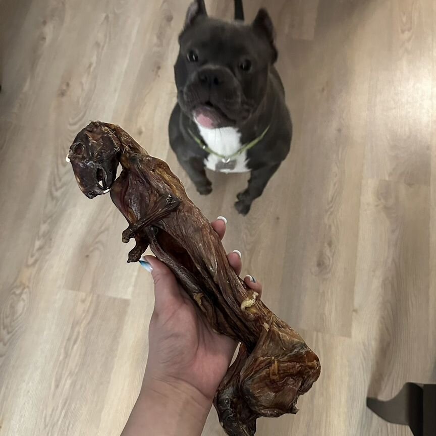Лакомства для собак