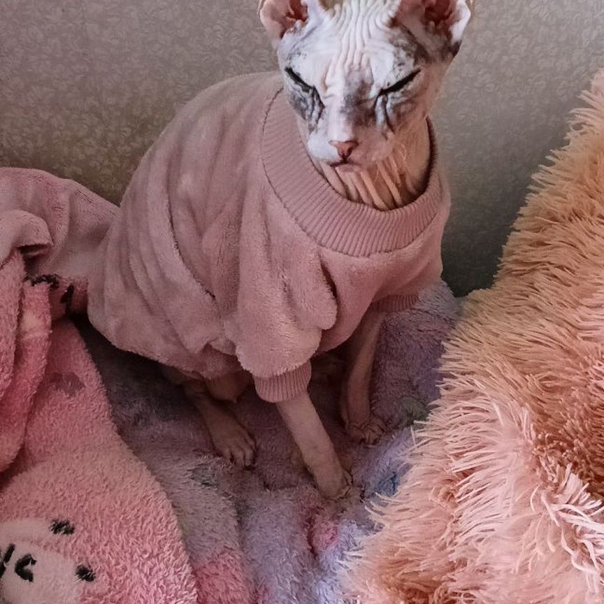 Теплая кофта для животных