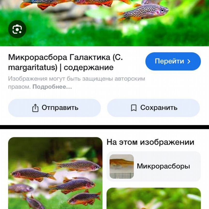 Микроразборы галактика