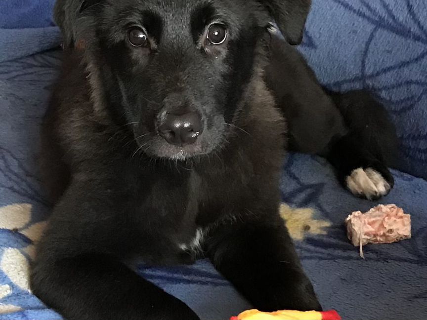 Мужичок Миша