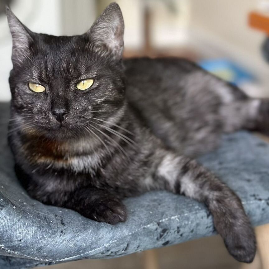 Гаечка в самые ответственные руки