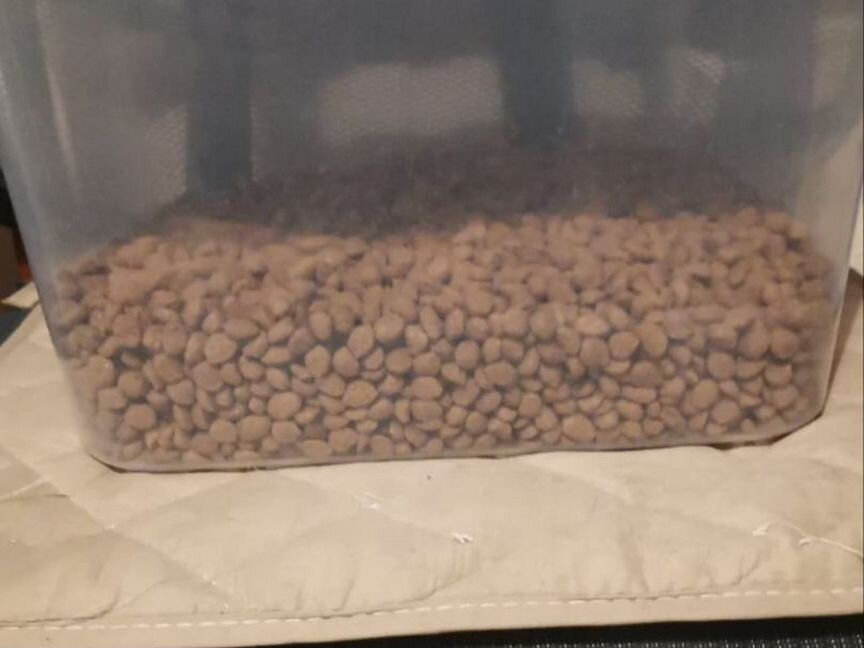 Отдам Корм Gina