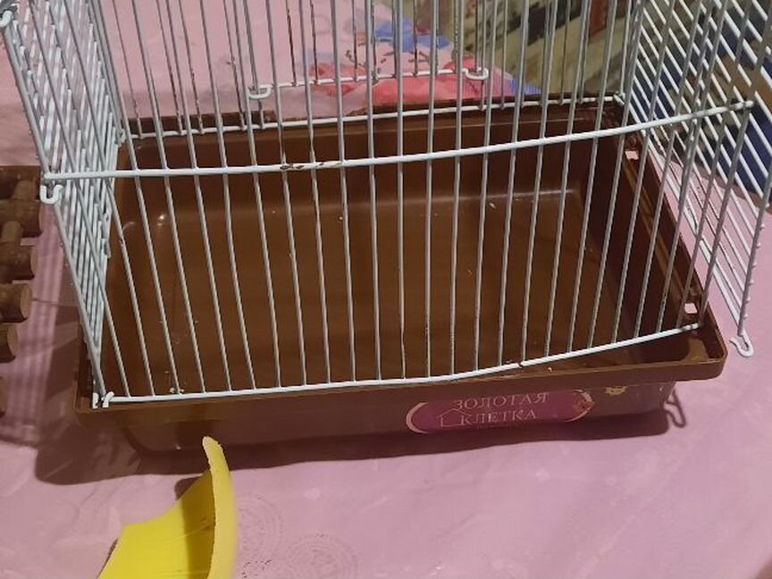 Клетка плюс разное для хомяка