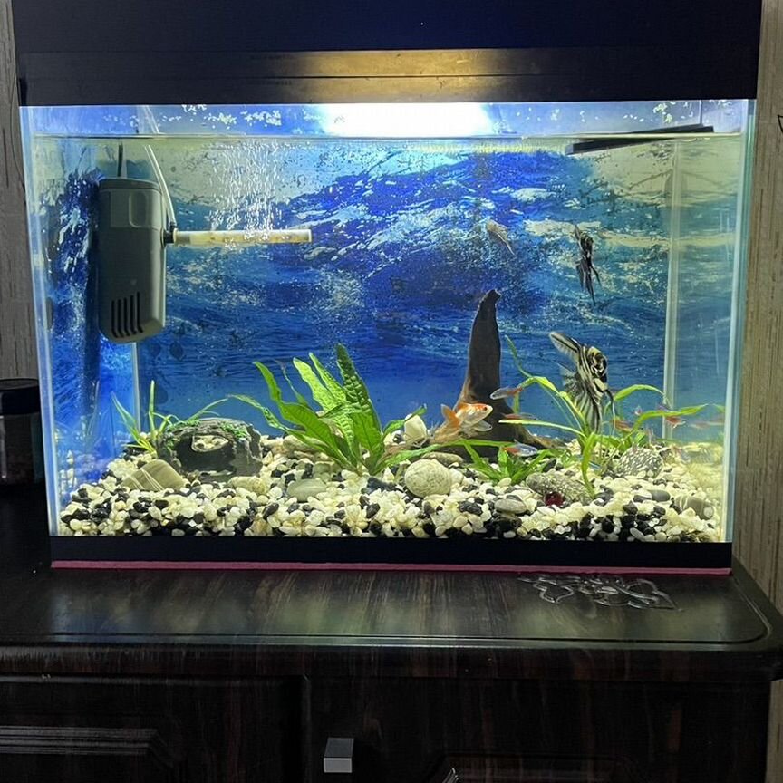 Аквариум 65л