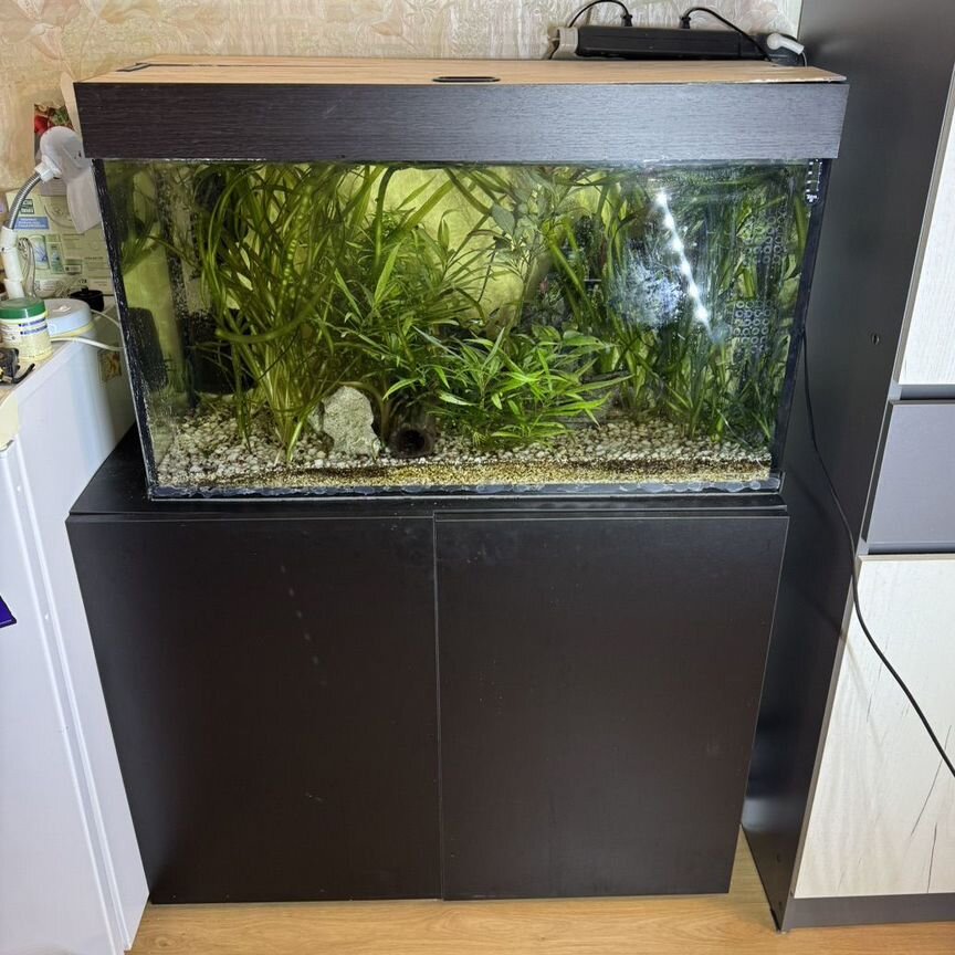 Аквариум на 150 литров с тумбой