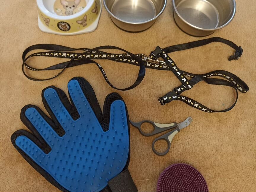 Чашки шлейка перчатка щетка ножницы для кошки